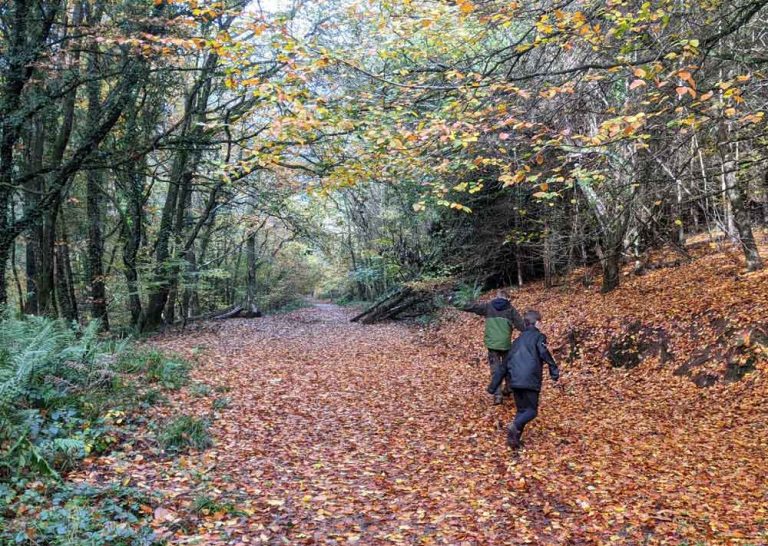 Best things to do in the Wye Valley & Forest of Dean - Chimptrips