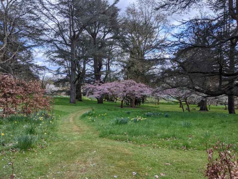 A family visit to Batsford Arboretum, Cotswolds - Chimptrips
