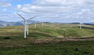 Our luxury treehouse weekend in Machynlleth, Wales - Chimptrips