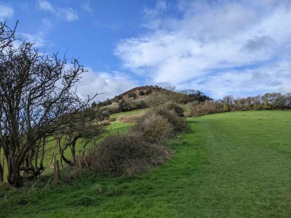 A short circular walk to Golden Cap, Dorset - Chimptrips