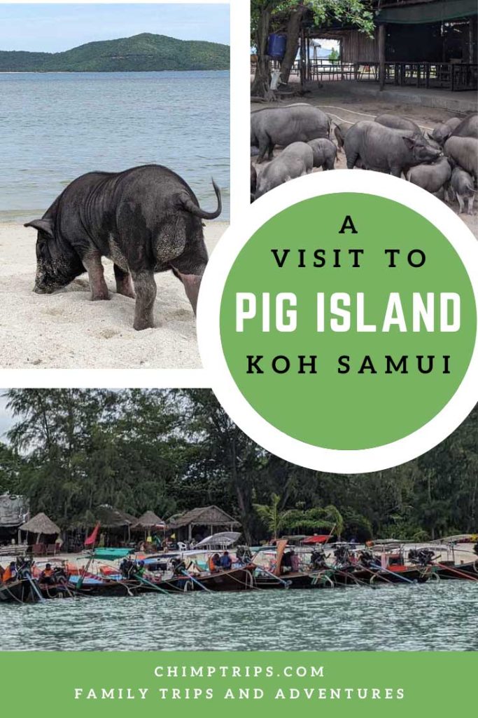 A visit to Pig Island, Koh Samui (Koh Madsum), Thailand - Chimptrips