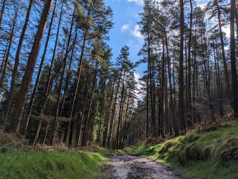 An exhilarating walk to Alport Castles, Derbyshire - Chimptrips